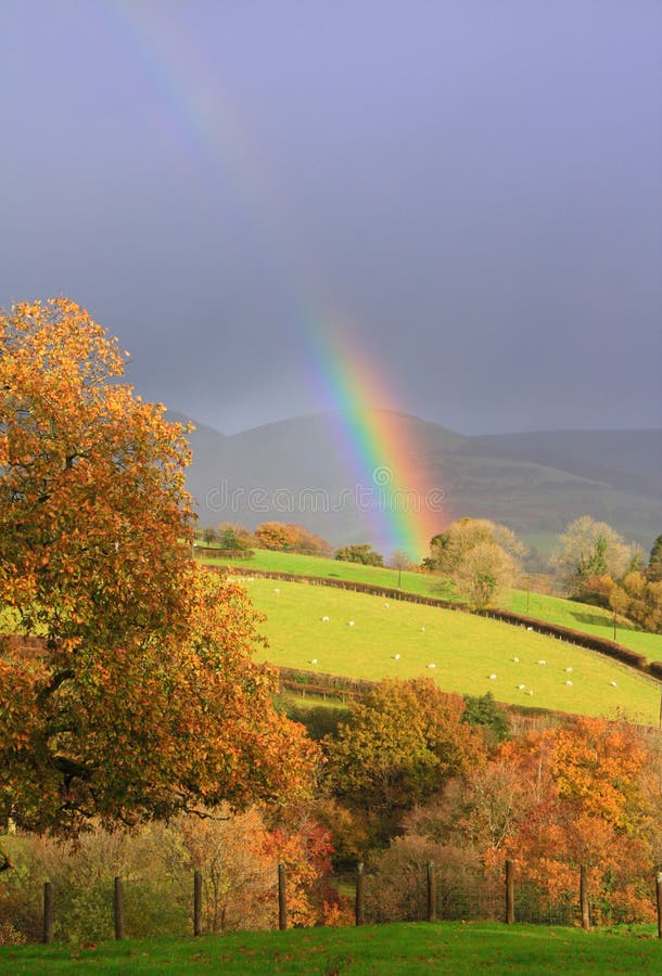 Welsh Rainbow stock image. Image of rainbow, fields, wales - 12042037