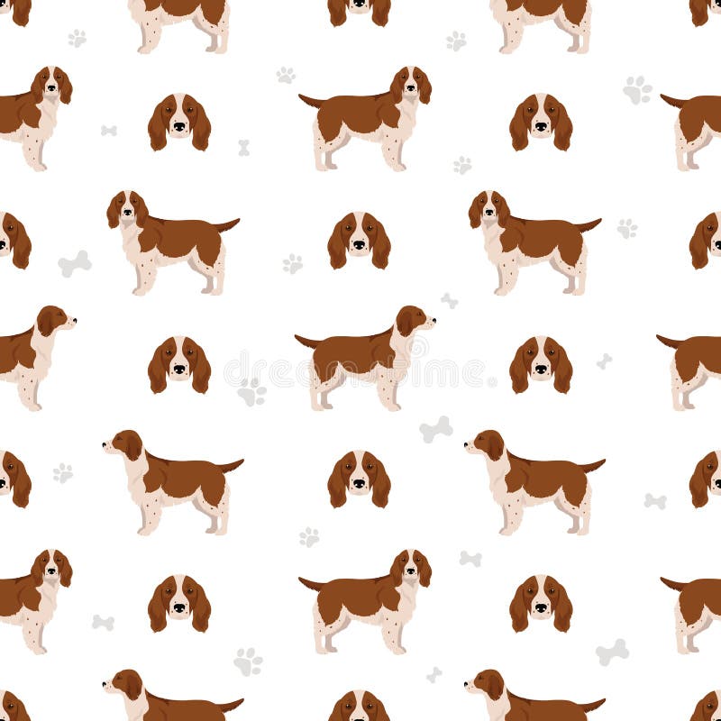 Cartoon Springer Spaniel Stock Illustrations – 193 Cartoon Springer ...
