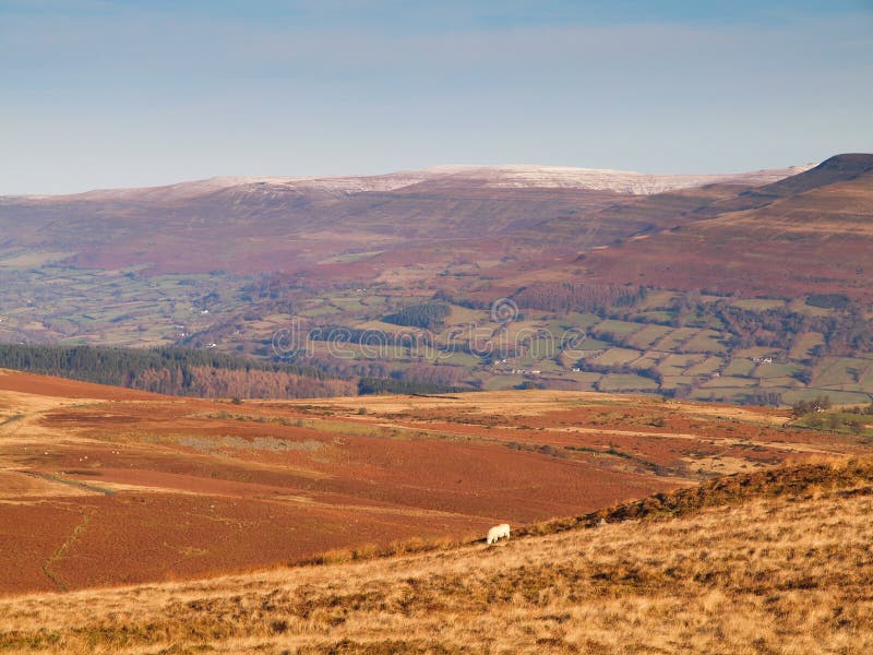 Winter Snow Scene on Lake, Welsh Countryside Stock Photo - Image of ...