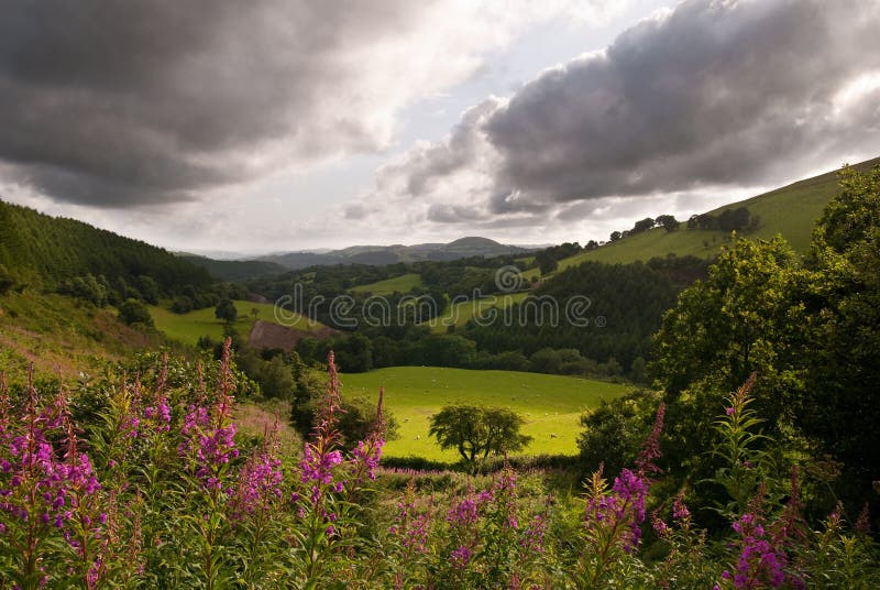 Countryside in Wales stock image. Image of natural, fields - 13389797