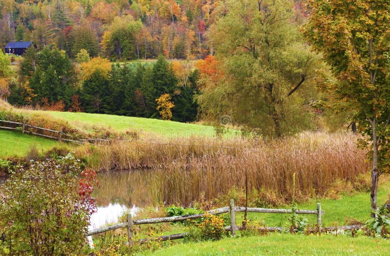 Wenig Teich Unter Hellen Fall-Farben Stockbild - Bild von rustikal ...