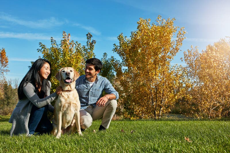 When Were Out with Our Dogs, Our Stress Levels Decrease. a Loving Young ...