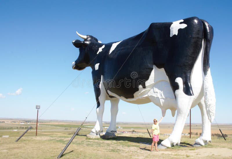 Grootste Koe Ter Wereld Ooit