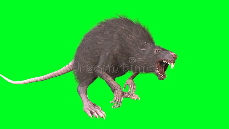 Mutant Rat Stock Illustrations – 115 Mutant Rat Stock Illustrations ...