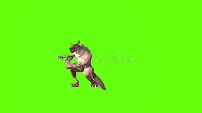 Werewolf Attack Green Screen Animation 3D Rendering Stock Video - Video ...