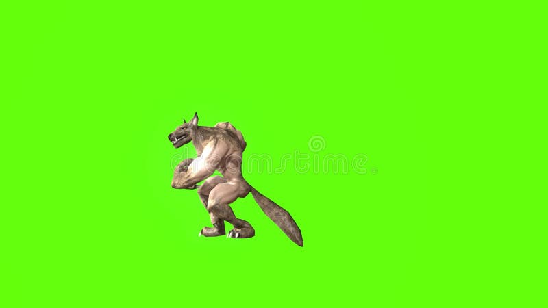 Werewolf Attack Green Screen Animation 3D Rendering Stock Footage ...