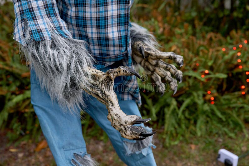 203 Hairy Halloween Costume Stock Photos - Free & Royalty-Free Stock ...