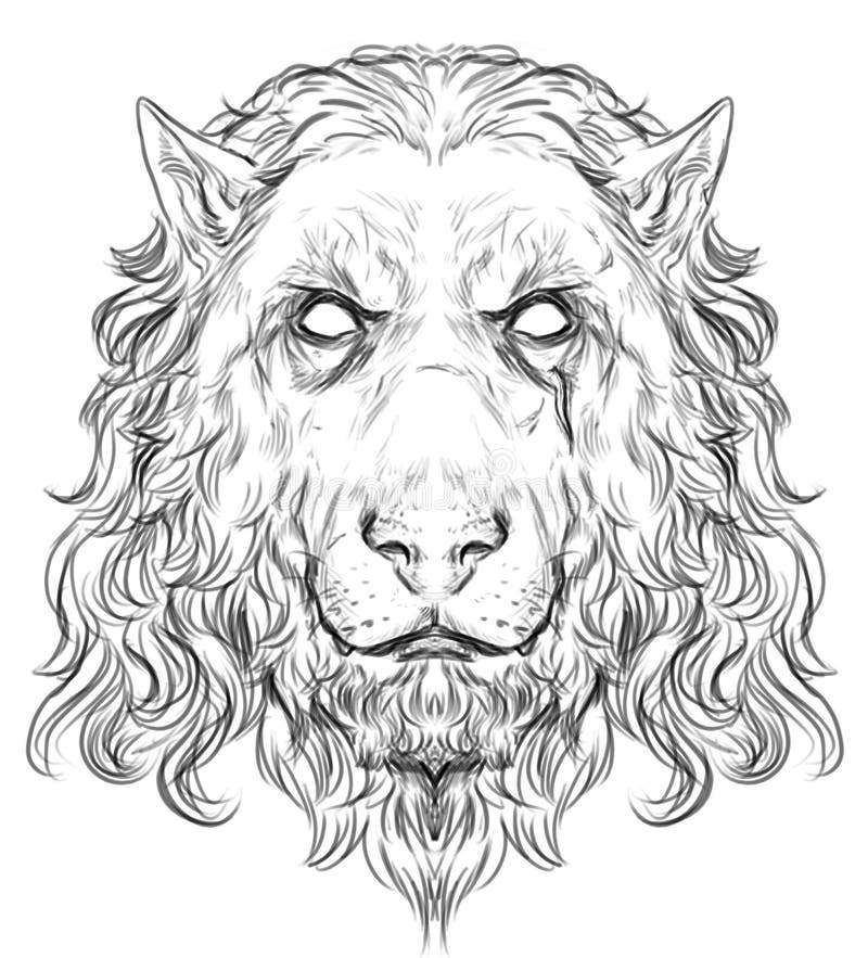 Collection of Werewolves Photos, Illustrations - Dreamstime ID:65714