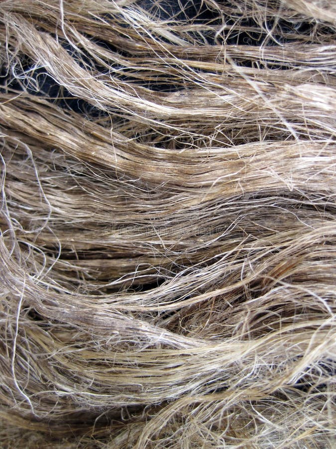 Werg stockfoto. Bild von oberfläche, makro, faser, nahaufnahme - 38384022