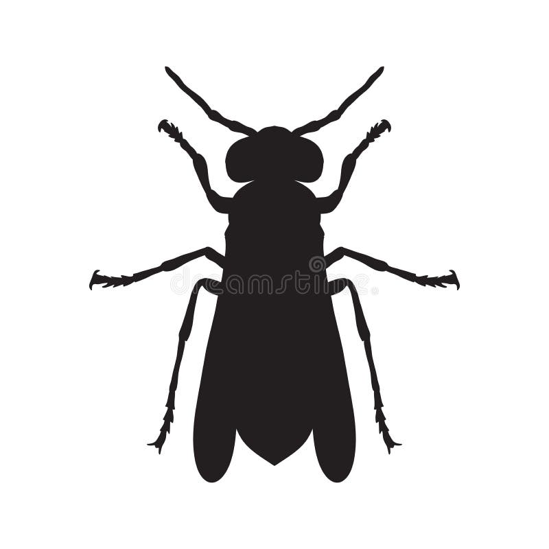 Wesp Schets Van Wesp Wesp Op Wit Vector Illustratie - Illustration of ...