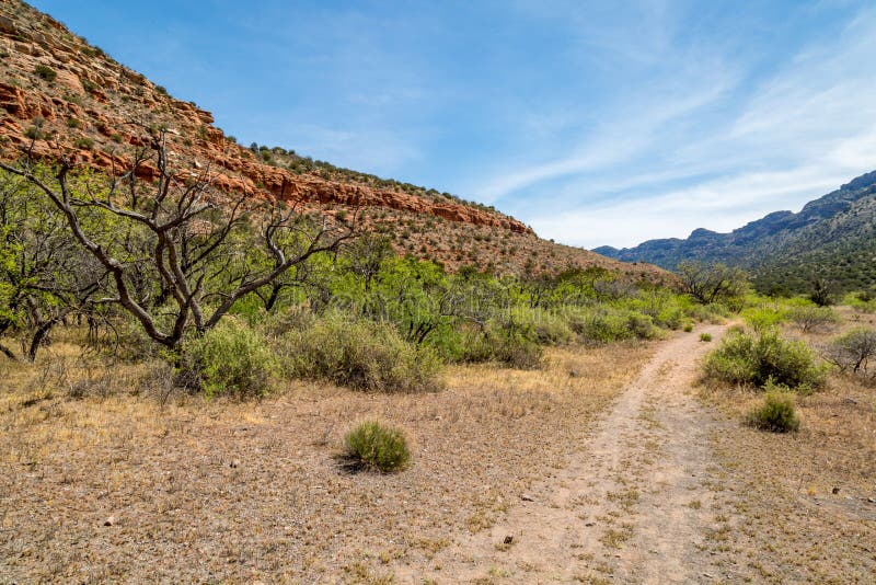 West Clear creek Arizona. stock photo. Image of flowers - 69791608