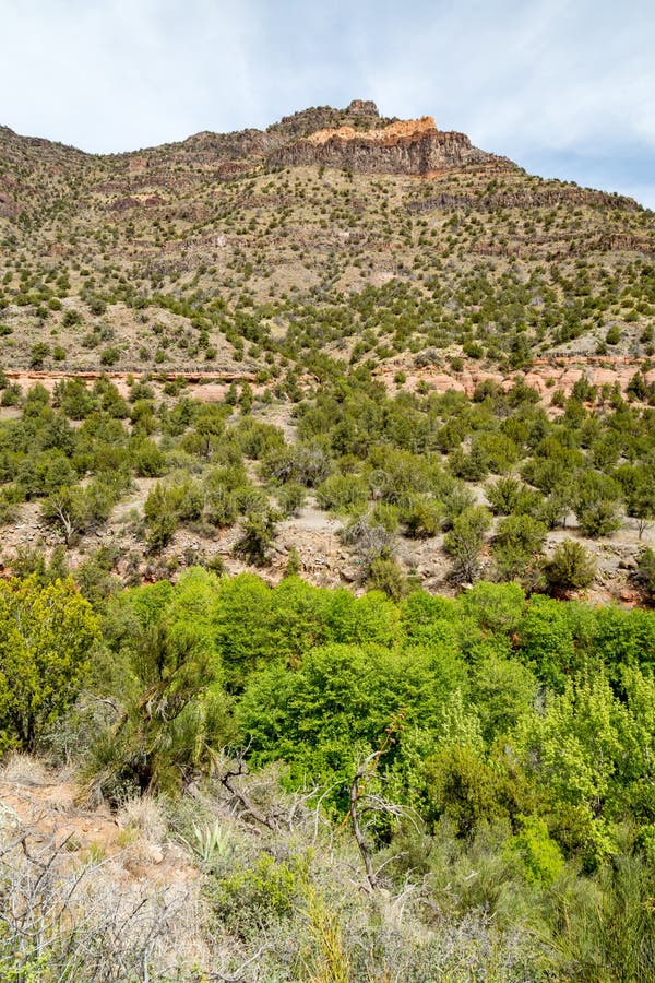West Clear Creek Arizona in Spring. Stock Photo - Image of flowers ...