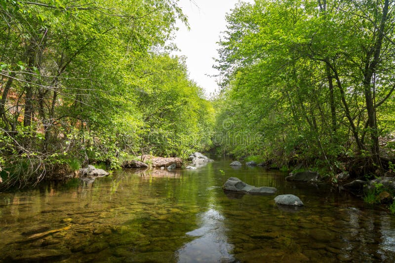 West Clear Creek Arizona in Spring. Stock Image - Image of creek ...