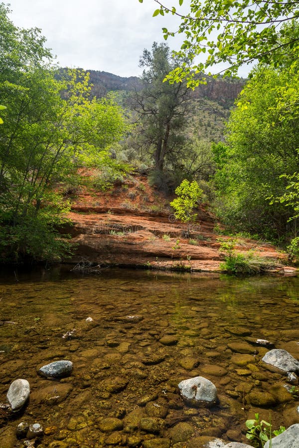 West Clear Creek Arizona in Spring. Stock Photo - Image of creek, river ...