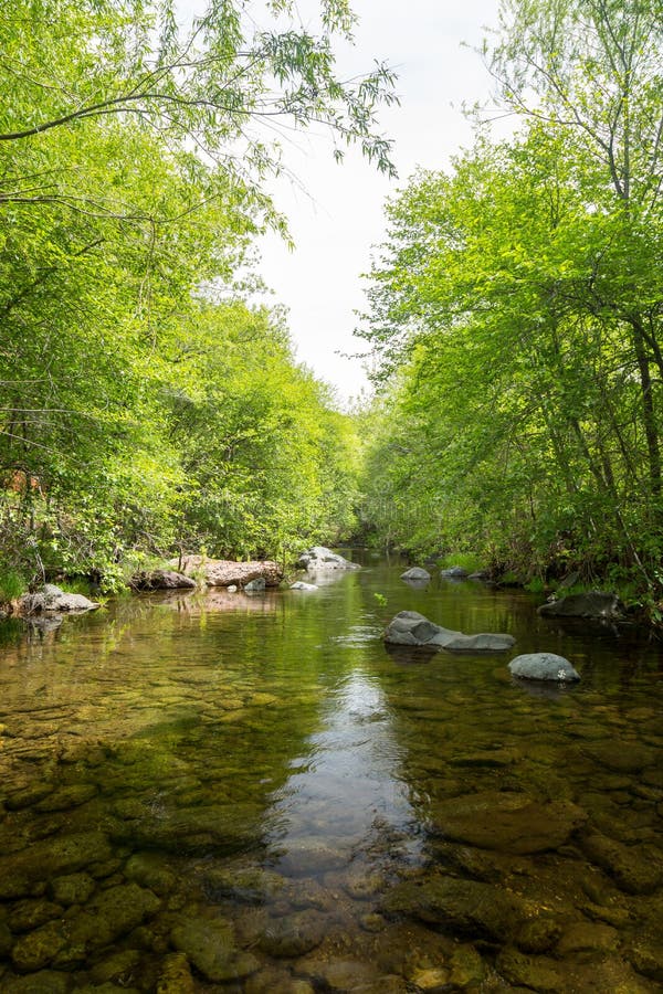 West Clear Creek Arizona in Spring. Stock Image - Image of outdoors ...