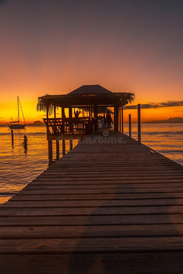 West End beach on Roatan stock image. Image of tree - 181427697