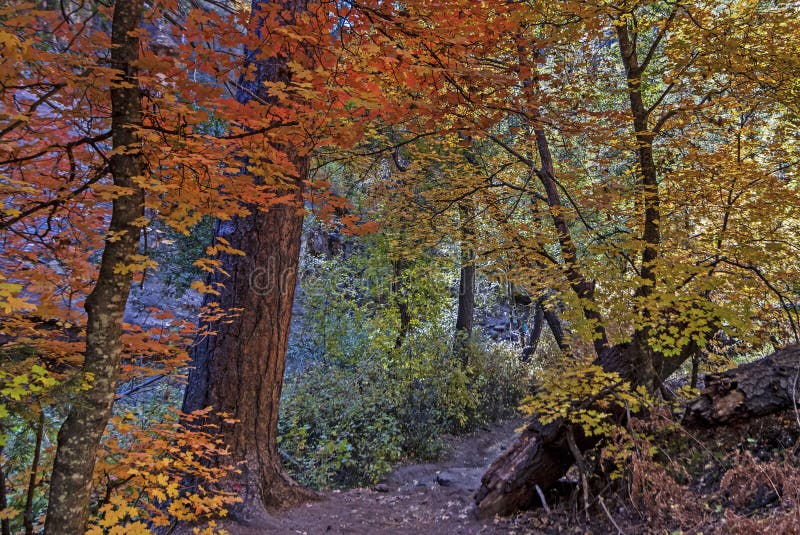 West Fork Trail at Fall Time in Sedona AZ Stock Photo - Image of trail ...