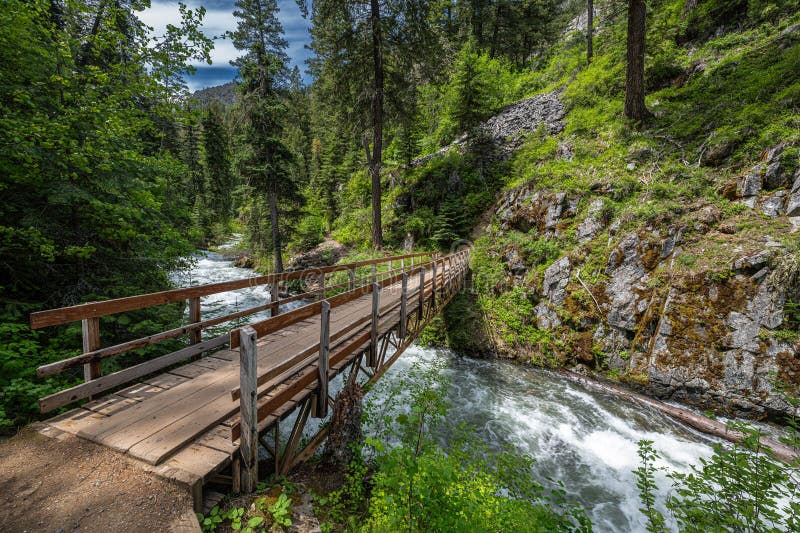 West Fork Wallowa River stock image. Image of explore - 393671159