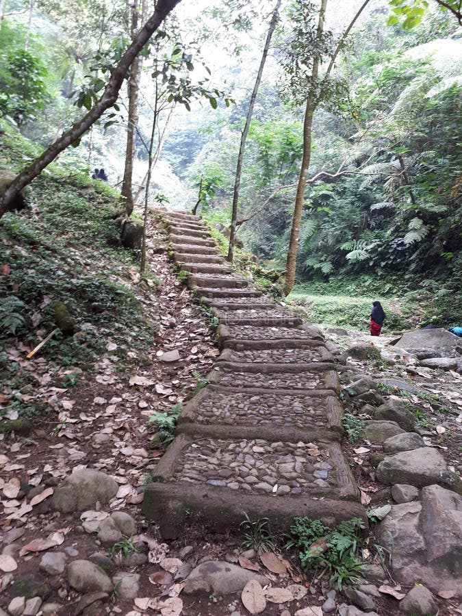 Burangrang Mountain Forrest Stock Photos - Free & Royalty-Free Stock ...