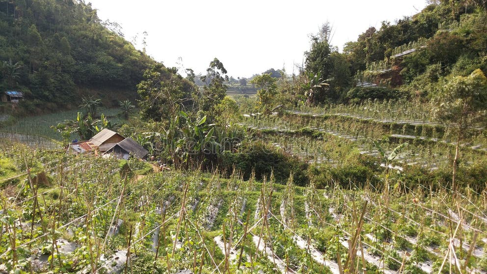 West Java Landscape 13 stock photo. Image of java, westjava - 73821960