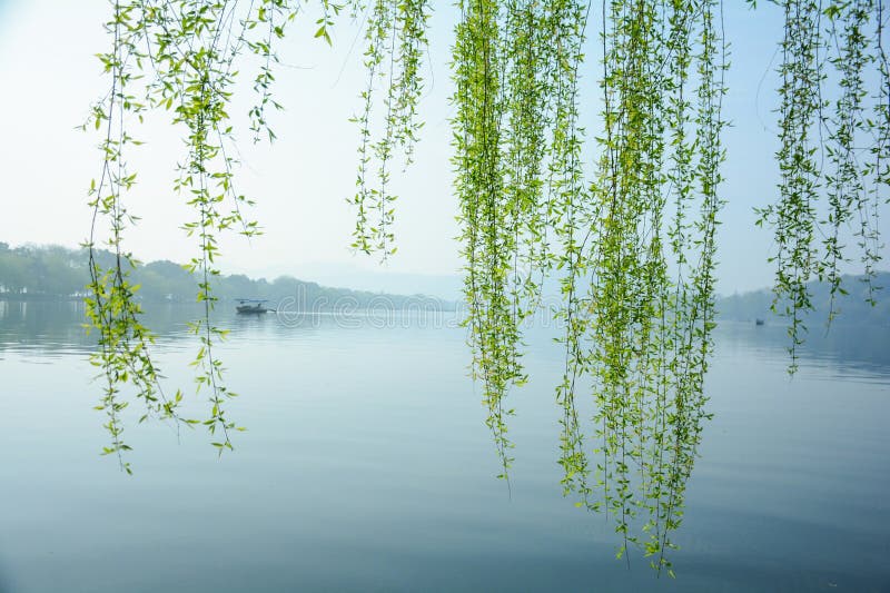 West Lake Hangzhou with Willow and Boat in Spring Stock Photo - Image ...