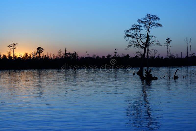 Sunset over swamp stock photo. Image of silhouette, scenic - 240344