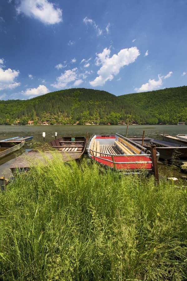 West Morava stock photo. Image of reka, nature, serbia - 3668018