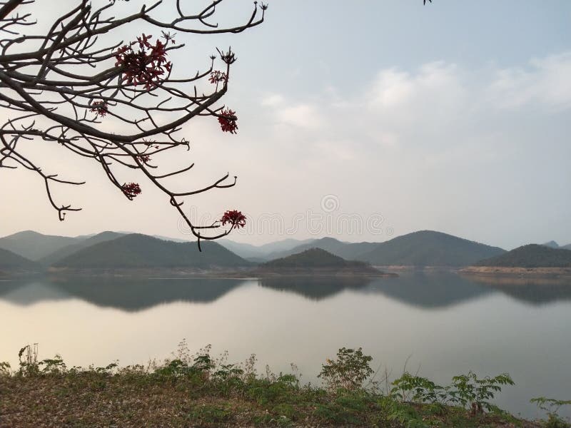 Infectious Sereneness Stock Photos - Free & Royalty-Free Stock Photos ...