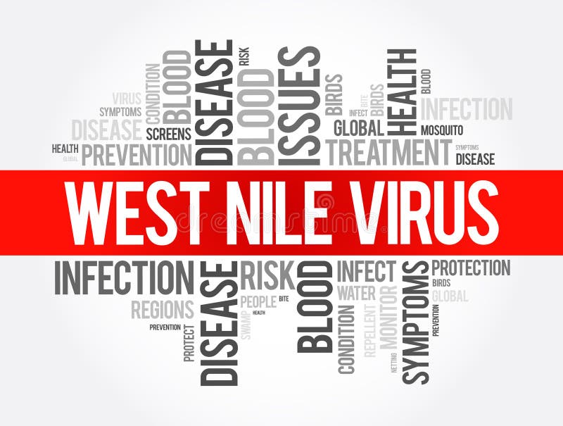 West Nile Virus Word Cloud Collage, Health Concept Background Stock ...