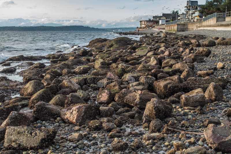West Seattle Coast Landscape 4 Stock Image - Image of pacific, ocean ...