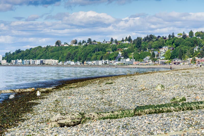 West Seattle Point View 3 stock image. Image of shoreline - 248658155