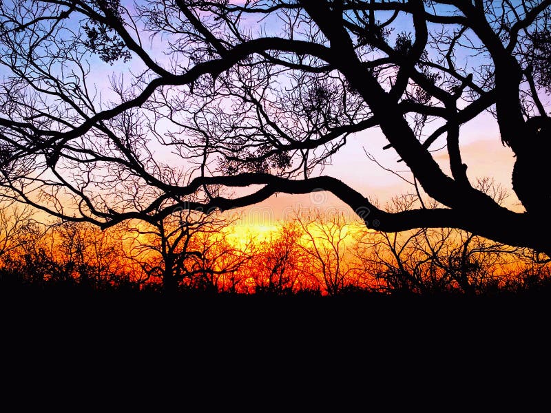 West texas sunset stock image. Image of dusk, stop, sunset - 208369635