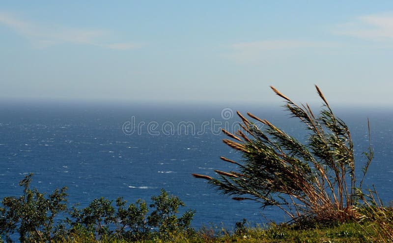 West Wind stock photo. Image of winter, italy, snow, monviso - 8228186