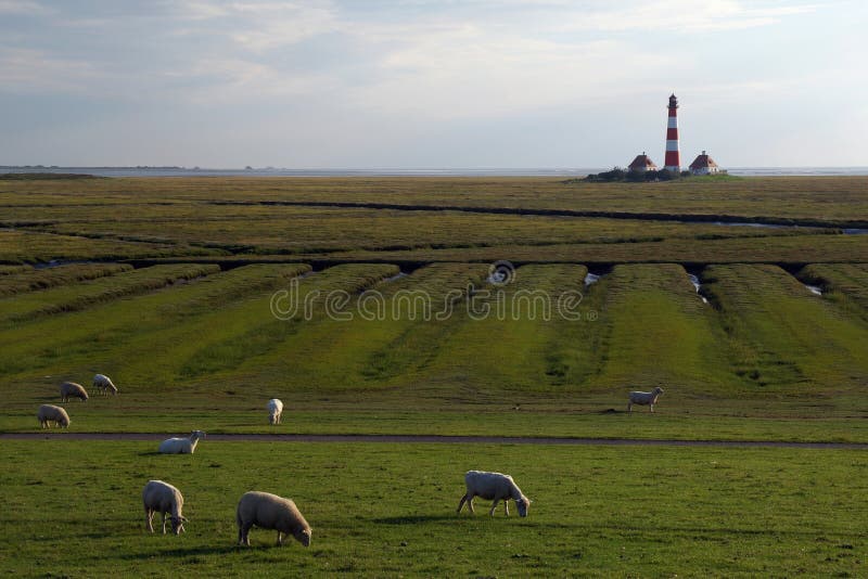 Westerhever lighthouse stock photo. Image of cloud, northsea - 23744922