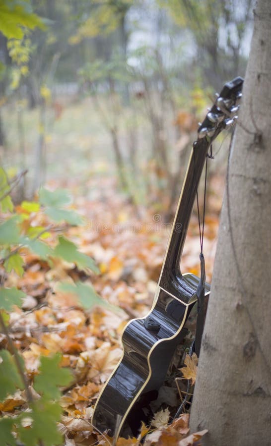 184 Guitar Leaning Tree Stock Photos - Free & Royalty-Free Stock Photos ...