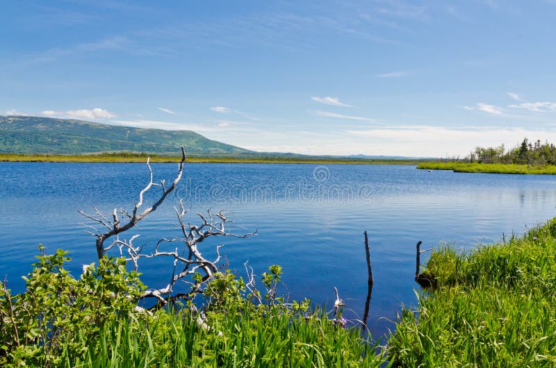 Western Brook Pond stock photo. Image of landscape, pond - 103825620