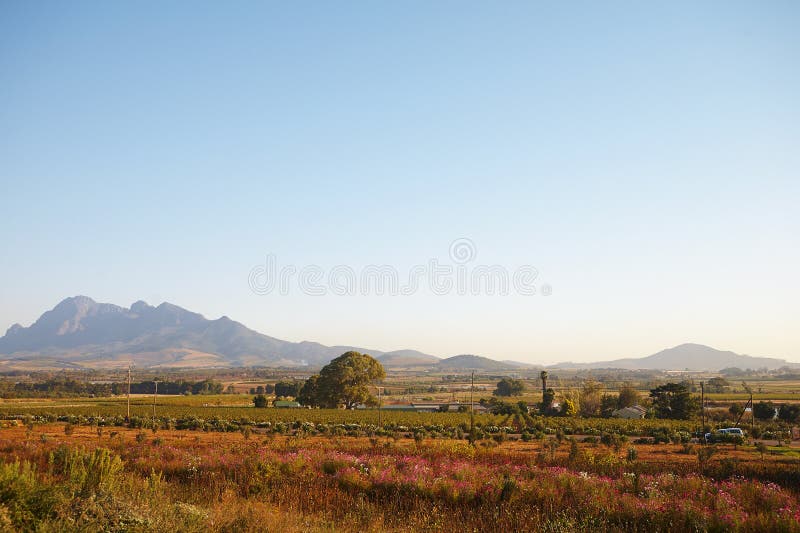 Western Cape Landscape stock image. Image of summer, nature - 30885189