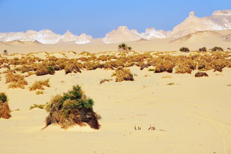 Western Desert, Sahara, Egypt Stock Photo - Image of outdoor, mountain ...