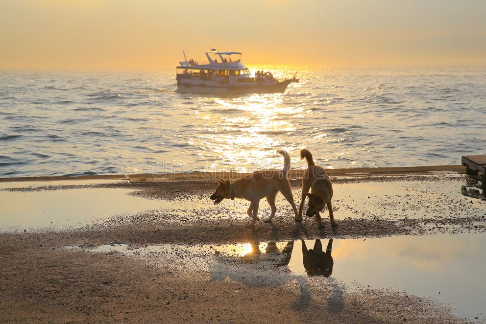 The Western District Public Cargo Working Area 2013 May 2013 Editorial ...