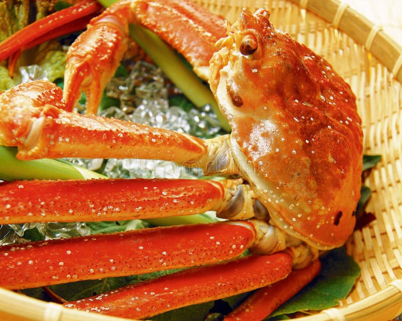 Western Food stock image. Image of food, gourmet, cook - 677143