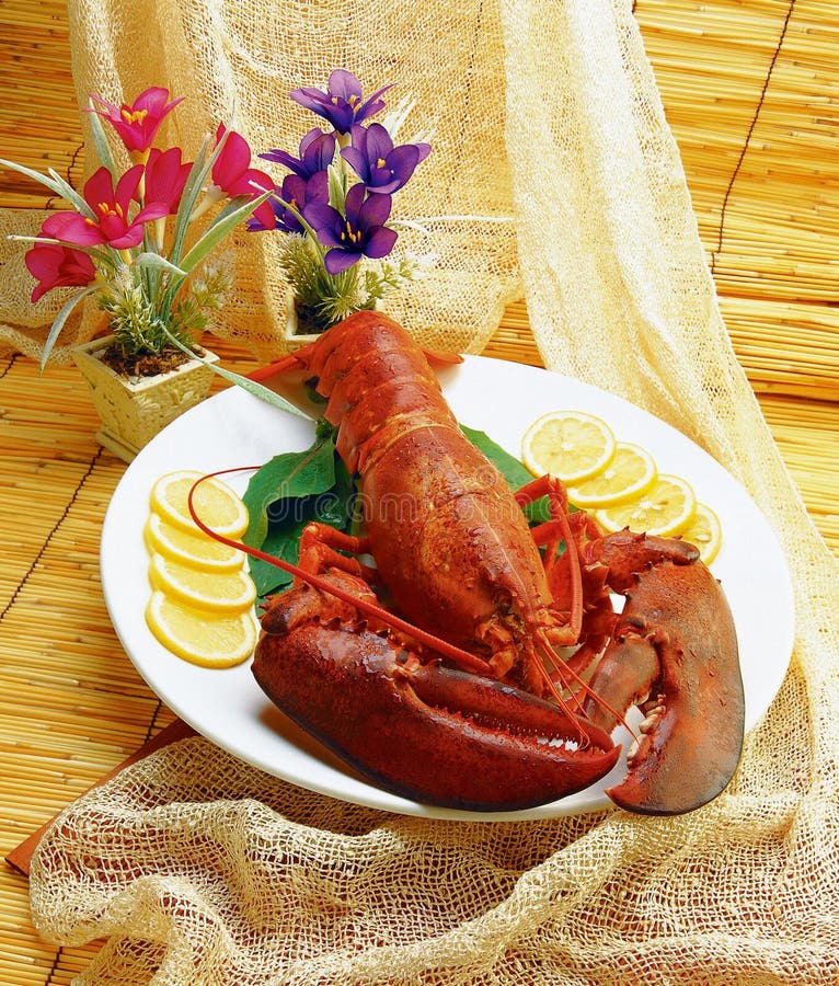 Western Food stock image. Image of food, gourmet, cook - 677143