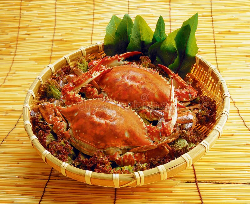 Western Food stock image. Image of food, gourmet, cook - 677143