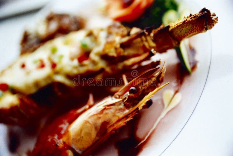 Western Food stock photo. Image of grilled, culture, grill - 677156