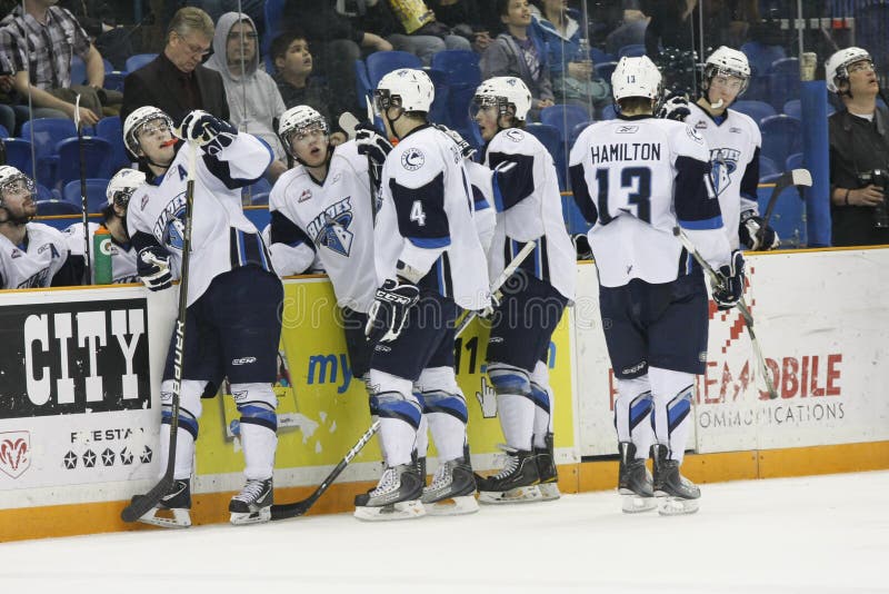 Western Hockey League (WHL) Game Editorial Stock Photo - Image of ...