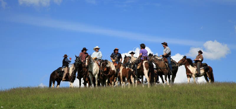 Western Race Horse - Cowboy Editorial Image - Image of farm ...