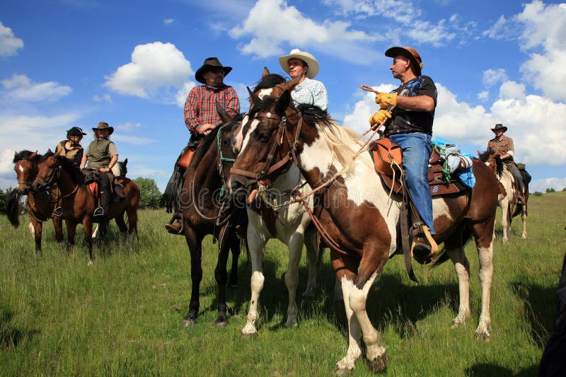 Western Race Horse - Cowboy Editorial Image - Image of head, field ...