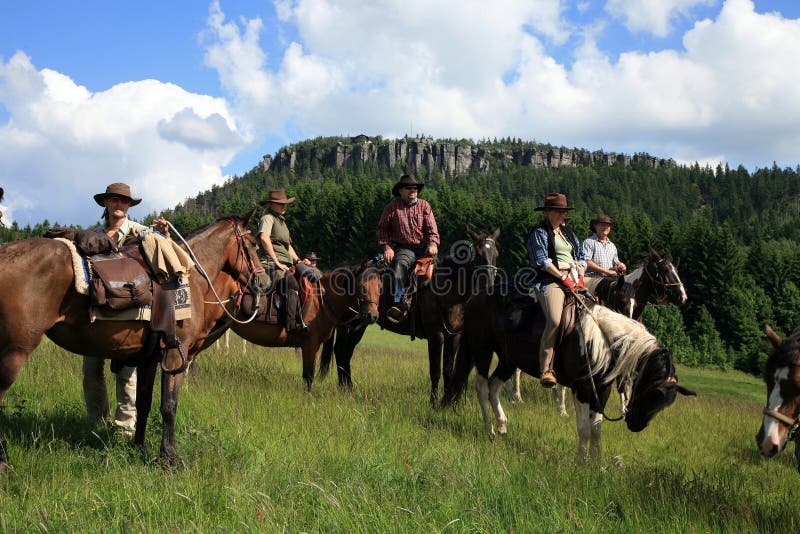 Western Race Horse - Cowboy Editorial Photography - Image of animal ...