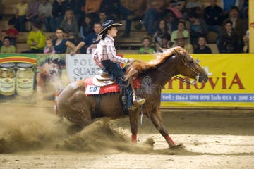 Western riding competition editorial photo. Image of roleski - 5182676