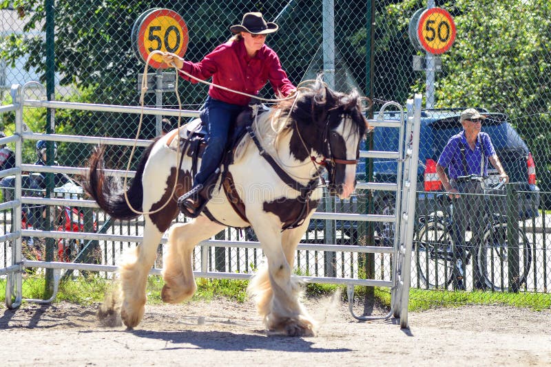 Rodeo Show editorial image. Image of male, cowboy, competition - 6168505