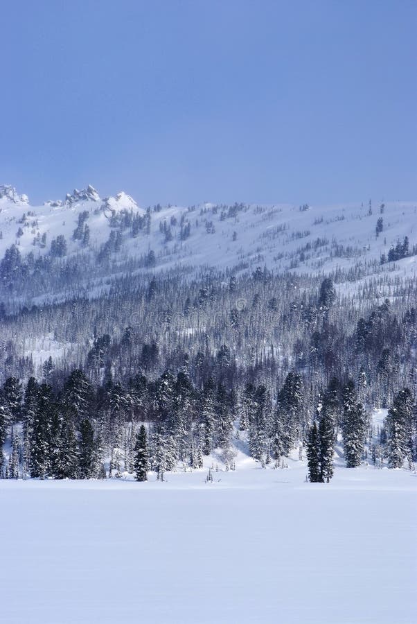 Western Russia stock image. Image of climate, nature - 18763481